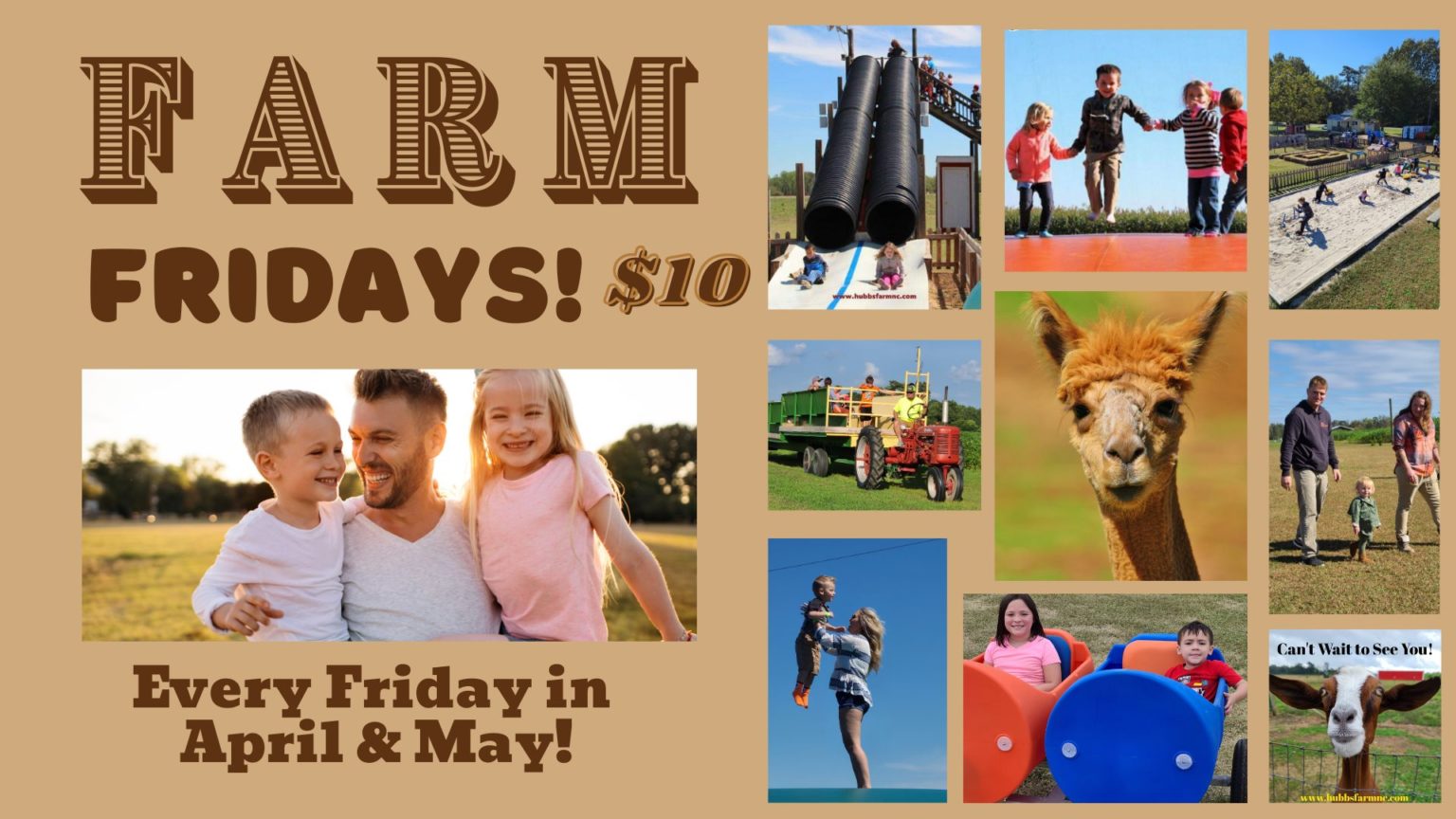 Farm Fridays - Hubb's Farm | Visit Sampson NC : Visit Sampson NC